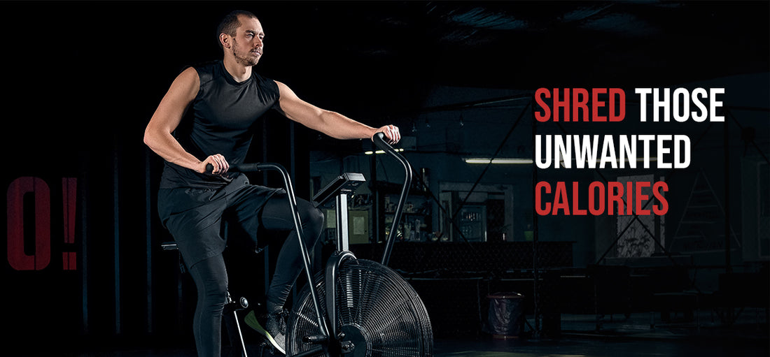 Forte Fitness Equipment